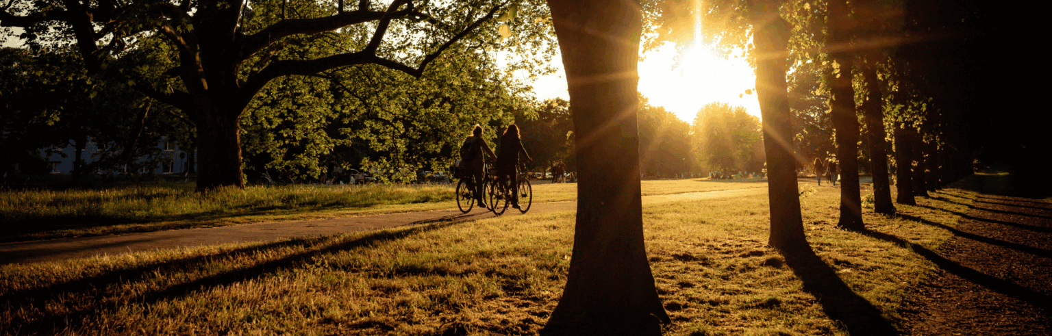 Hannover Tourismus - Hoteles, visitas por la ciudad y toda la información